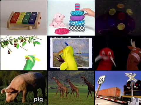 9 Baby Einstein Videos At Once Part 2 Of 3 Youtube