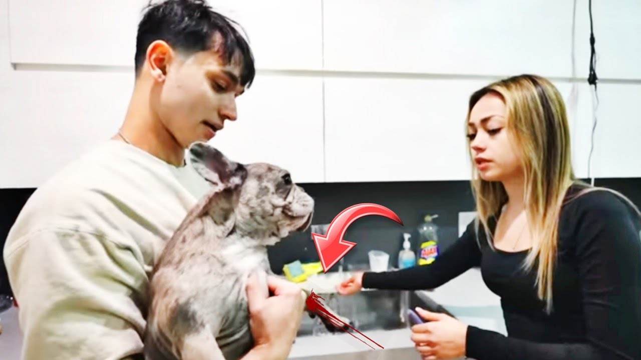 Lucas And Marcus My Girlfriend Dog Is Bleeding Ivanita Lomeli Youtube