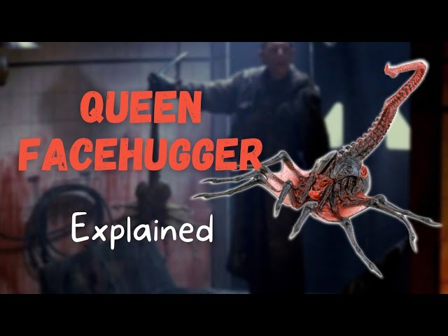 Queen Facehugger Scene The Bs Reasons Disney Won T Make The Xenomorph