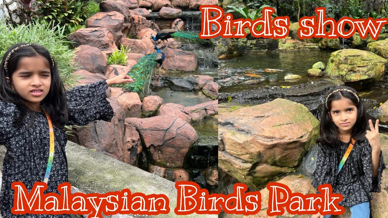 Malaysian Birds Park Ll Aiza Faisal Ll Kaula Lumpur Ll Malaysia Youtube