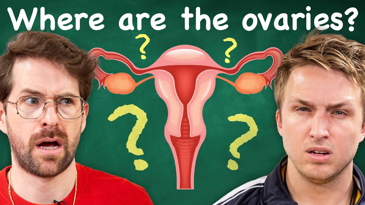 Do Men Know Reproductive Anatomy Youtube