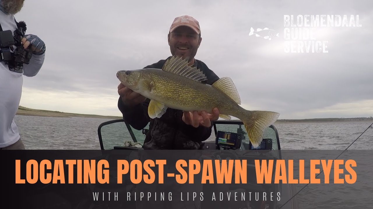 Locating Post Spawn Walleyes With Ripping Lips Adventures Youtube