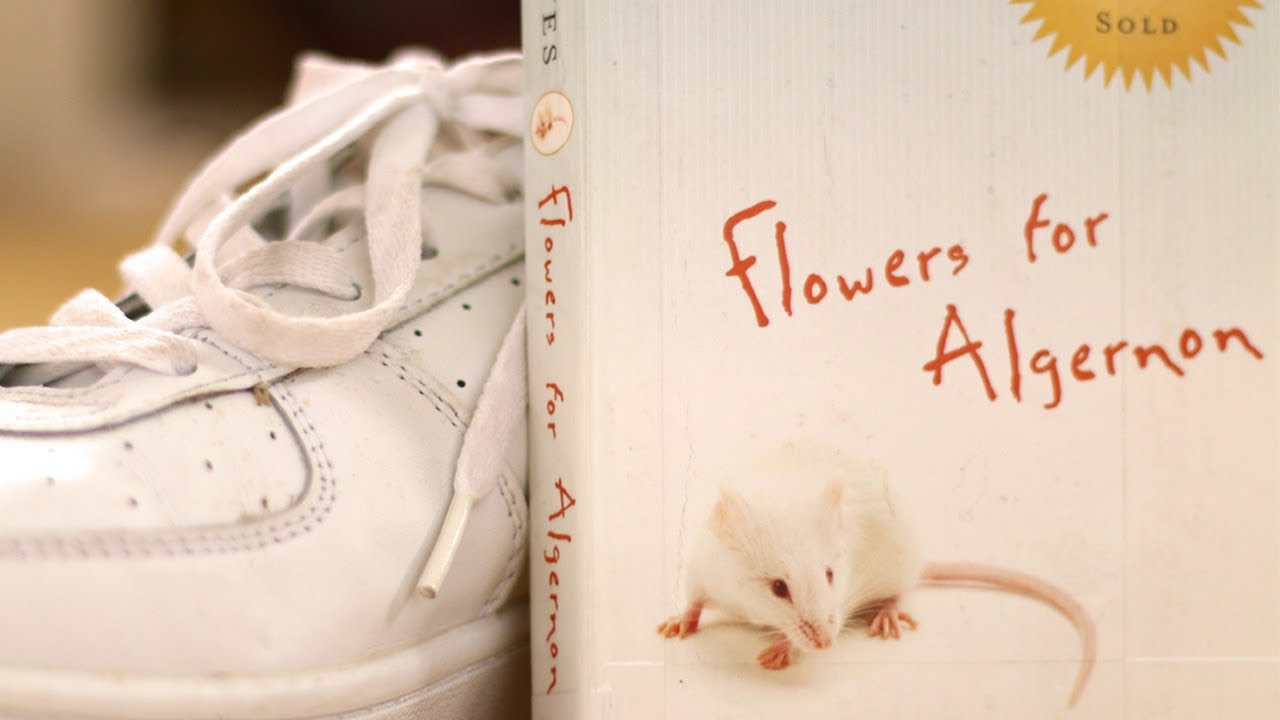 Flowers For Algernon By Daniel Keyes Book Summary And Review Minute