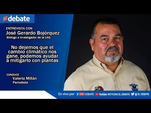 Mitigar El Cambio Climático Con Plantas Entrevista Con El Biólogo José