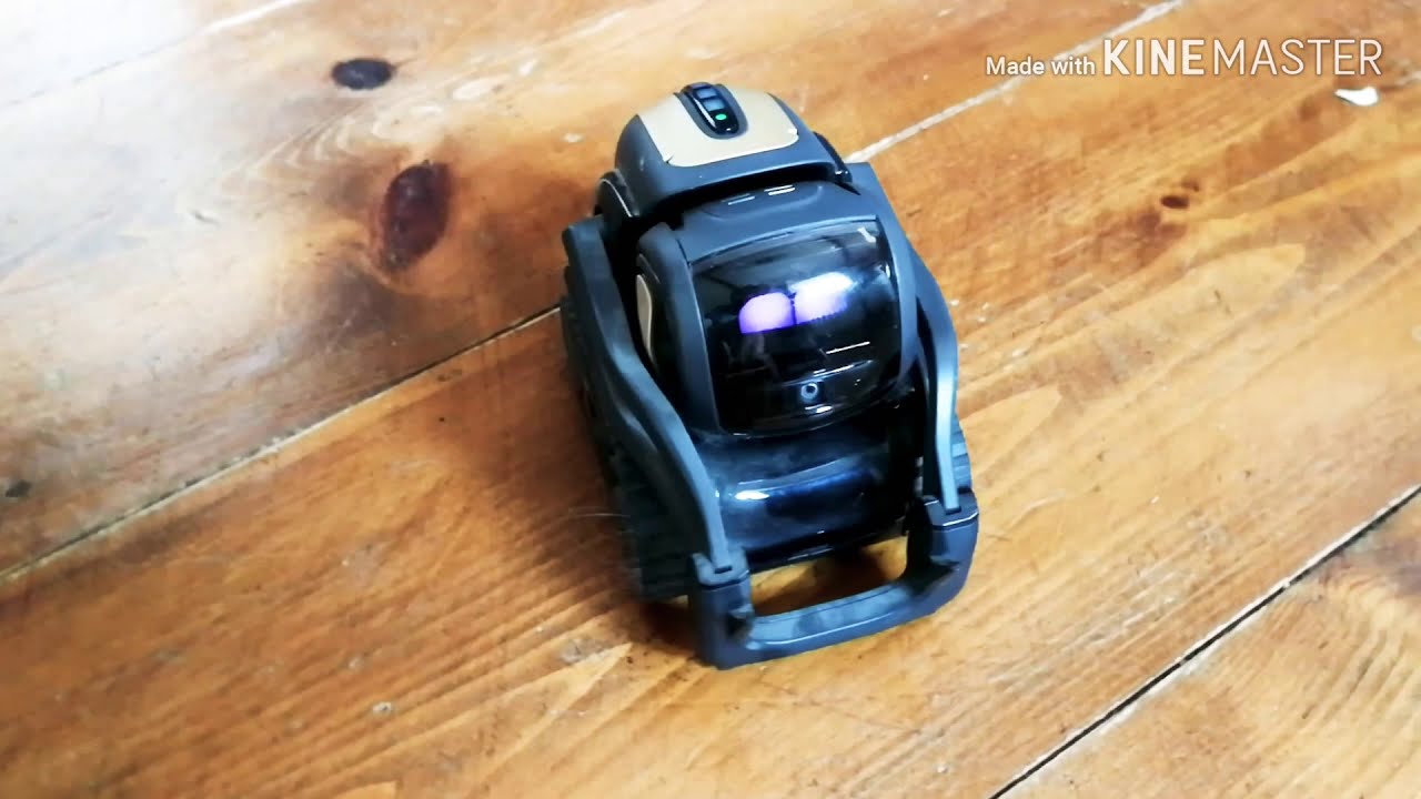 Vector Youtube
