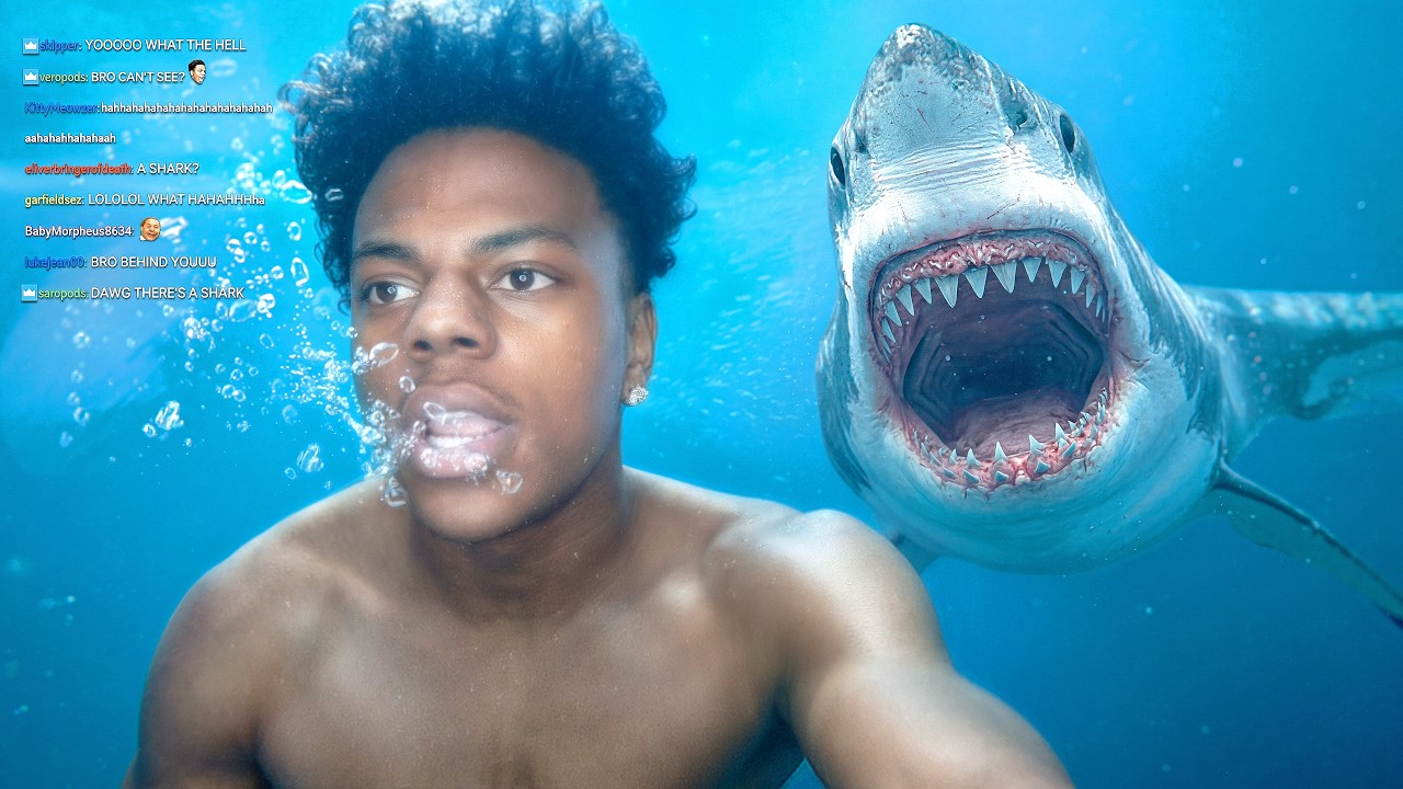 Youtubers That Were Almost Killed Youtube