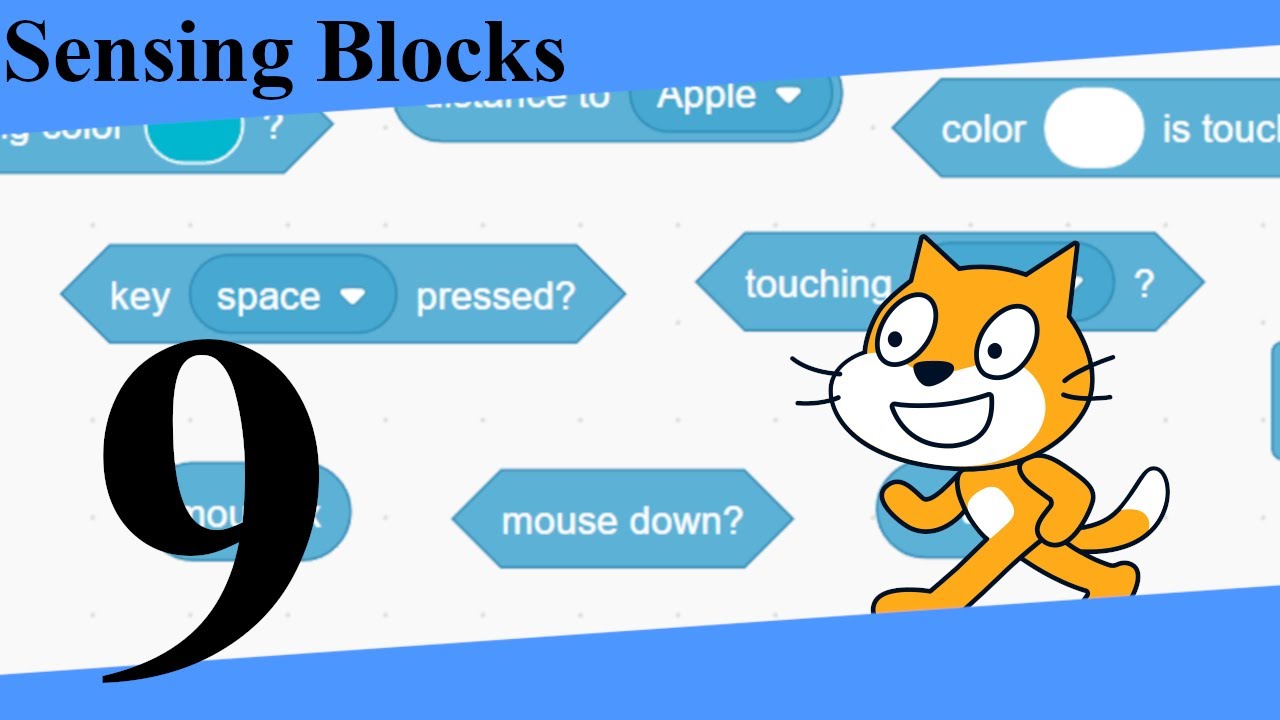Using Sensing Blocks At Donald Pray Blog
