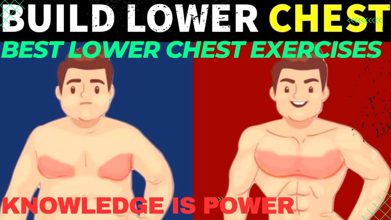 Best Way To Build Lower Chest At James Vanhorn Blog