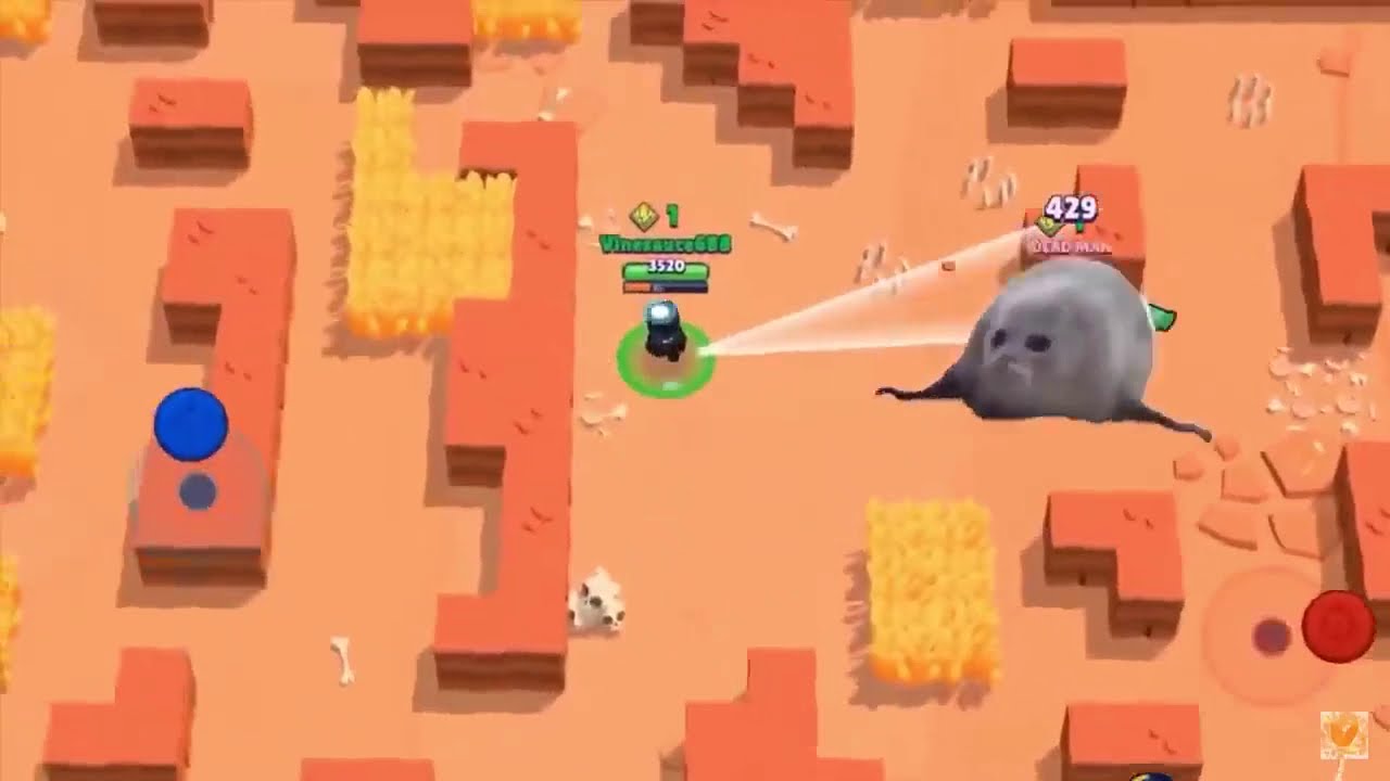 Bouncing Seals In Games At Jaime Arndt Blog