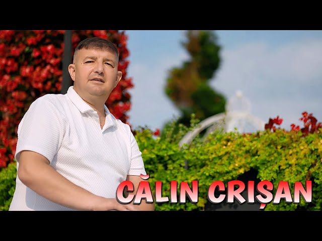 Calin Crisan - Viata ce nebuna esti