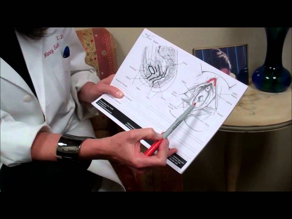 What Is The Reduction Of The Clitoral Hood Youtube