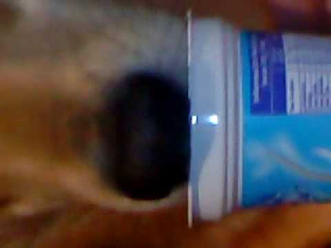 Mov00224 Youtube
