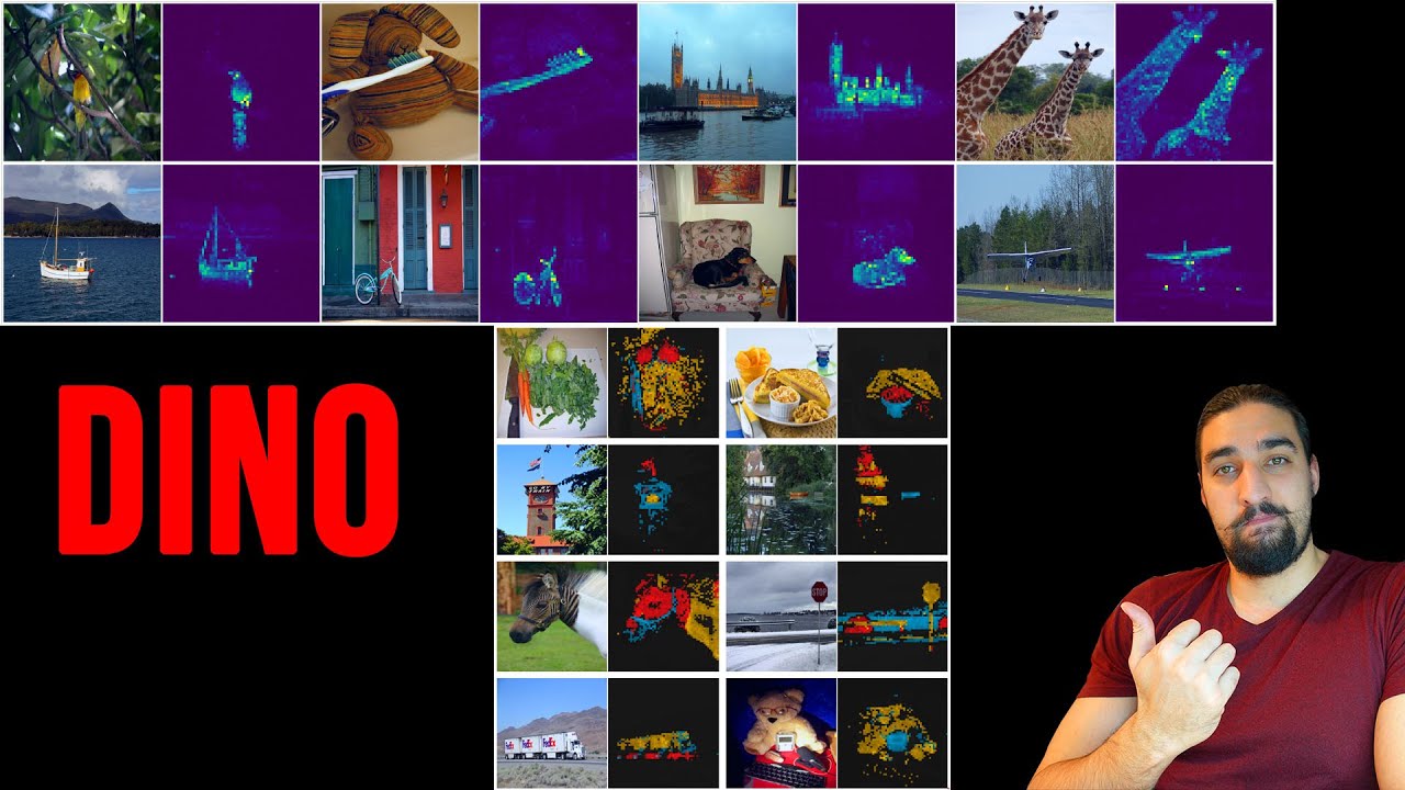 Dino Emerging Properties In Self Supervised Vision Transformers