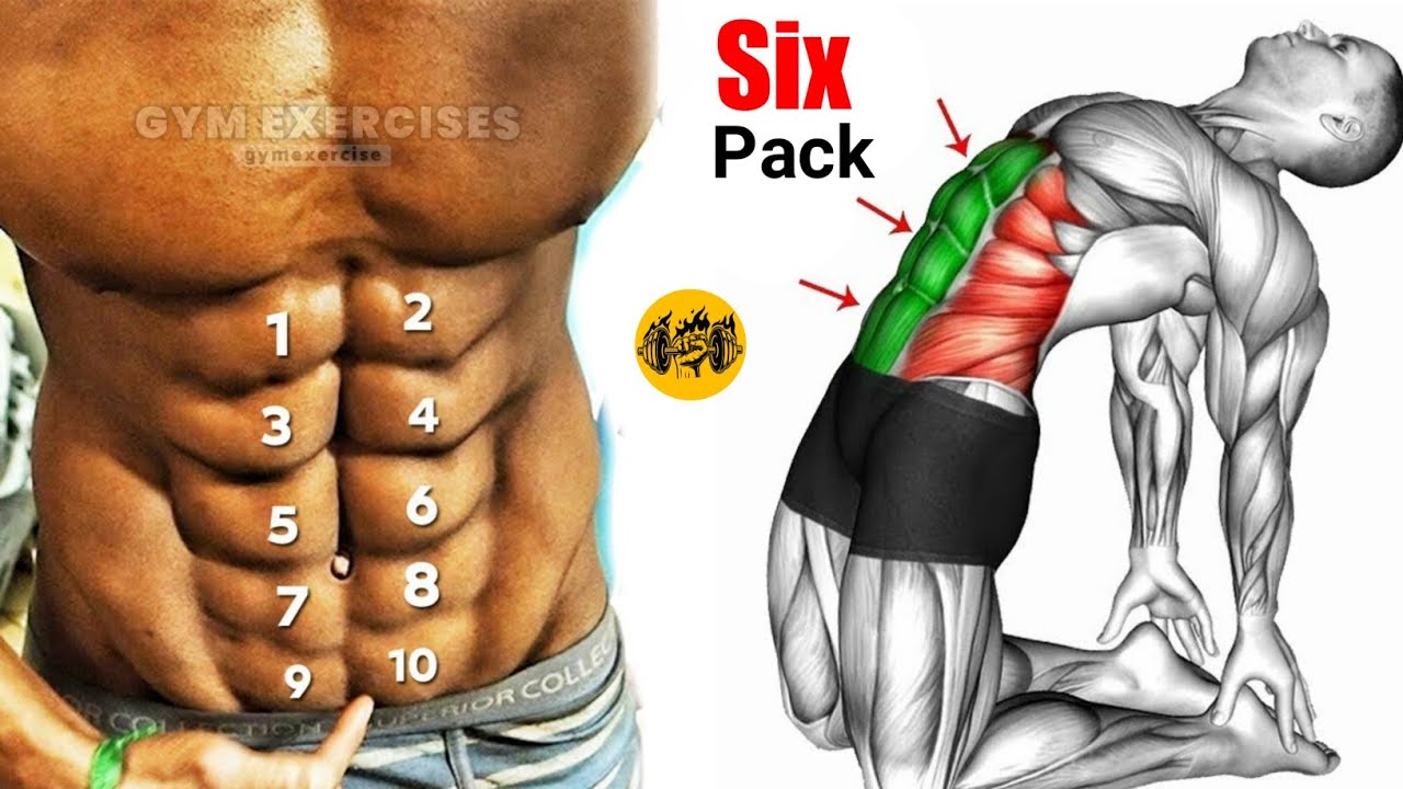 Abs Workout At Home Without Equipment For Beginners At Dayna Barker Blog