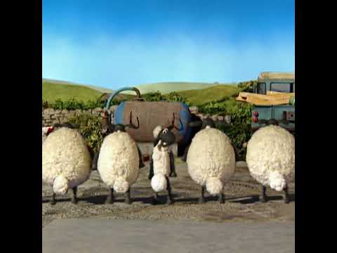 Irish Dancing Shaun The Sheep Shorts Youtube