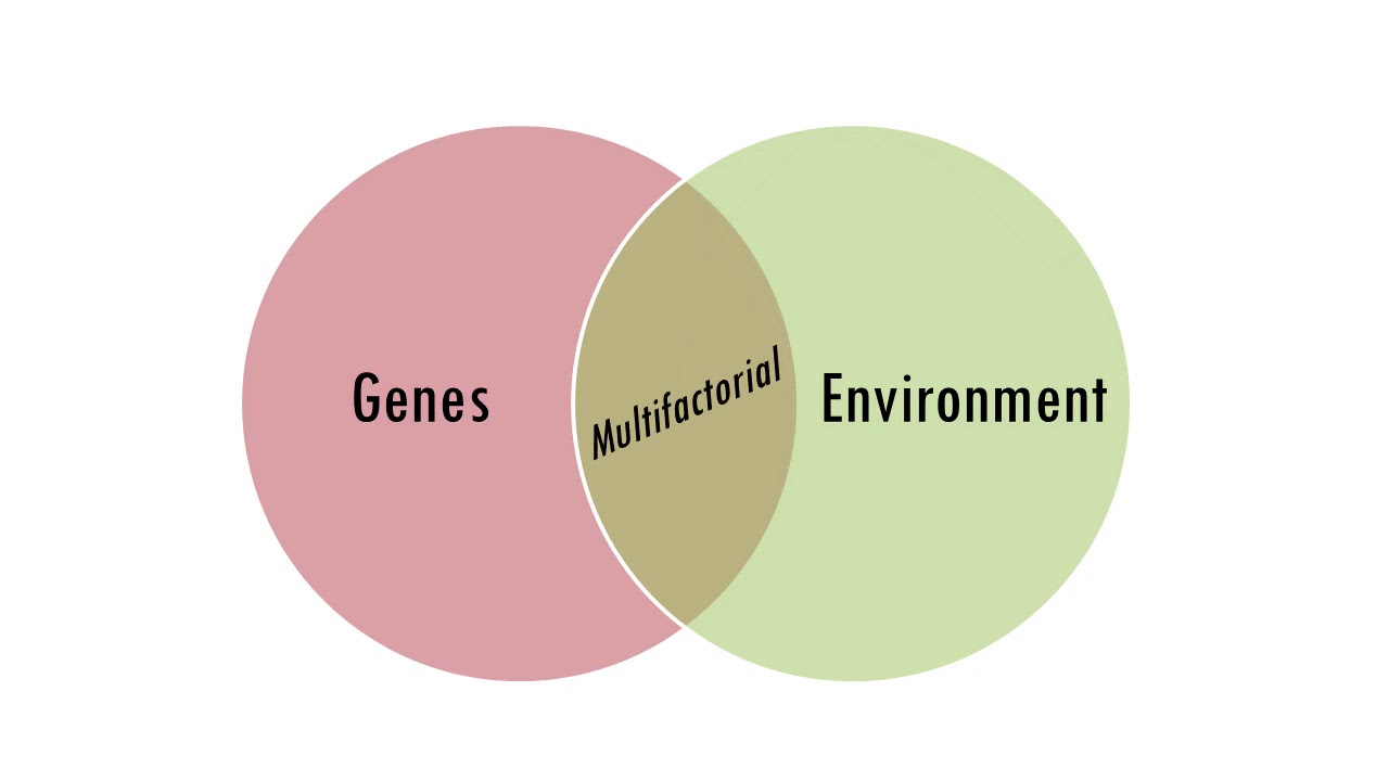 Multifactorial Inheritance Youtube
