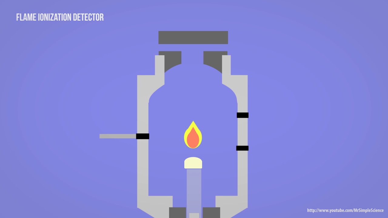 Gas Chromatography Flame Ionization Detector Animation 59 Off