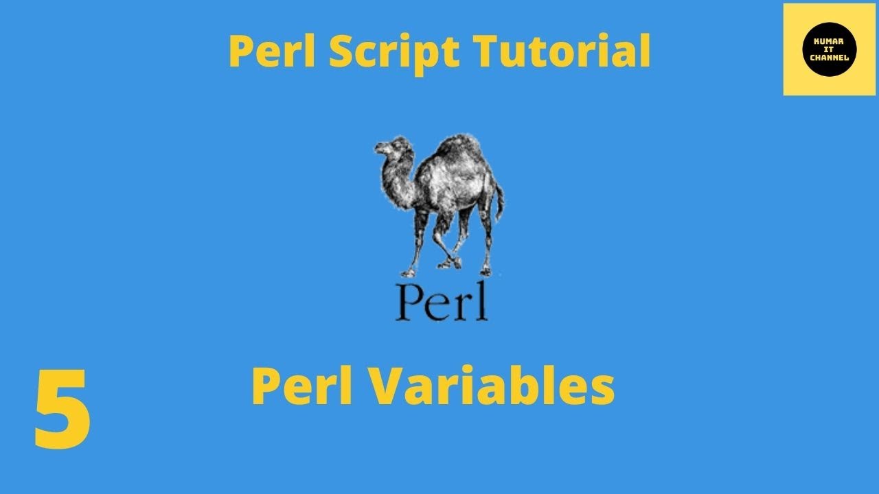 Variables In Perl Script Perl Script Basics Tutorial Part 5 Youtube