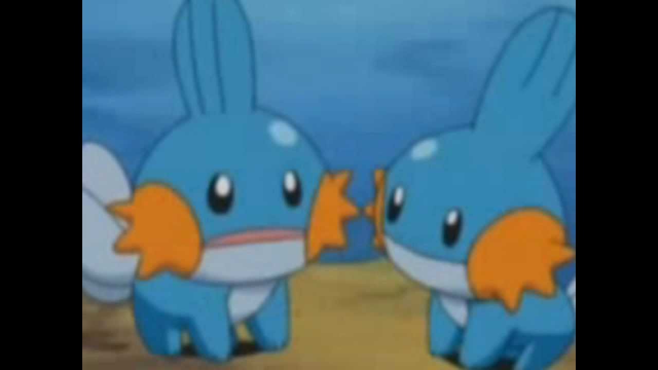 Mudkip S Song Funny Animation Youtube