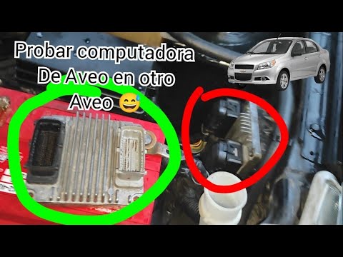 Probar Computadora De Aveo En Otro Aveo Youtube