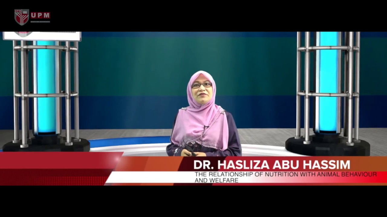 E Learning Studio Promo English Youtube