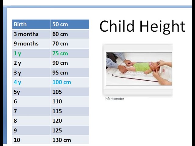 Pediatric Height And Length Measurements Baby Toddler Shoe Size