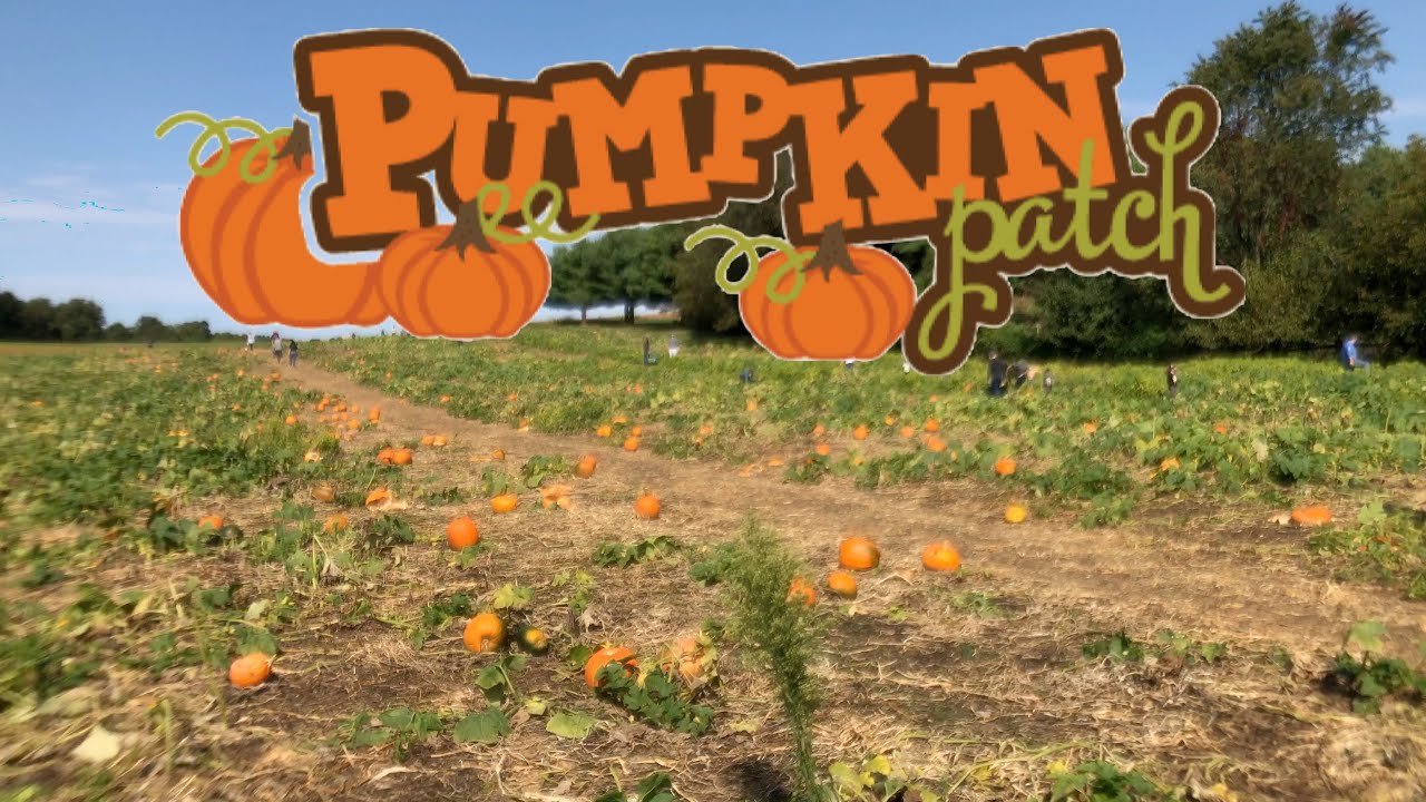 Pumpkin Patch Trip 2020 Youtube