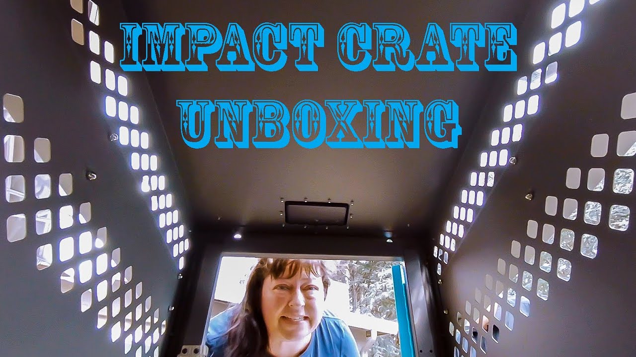 Impact Dog Crate Unboxing Youtube