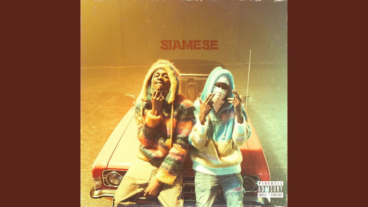 Siamese Youtube Music