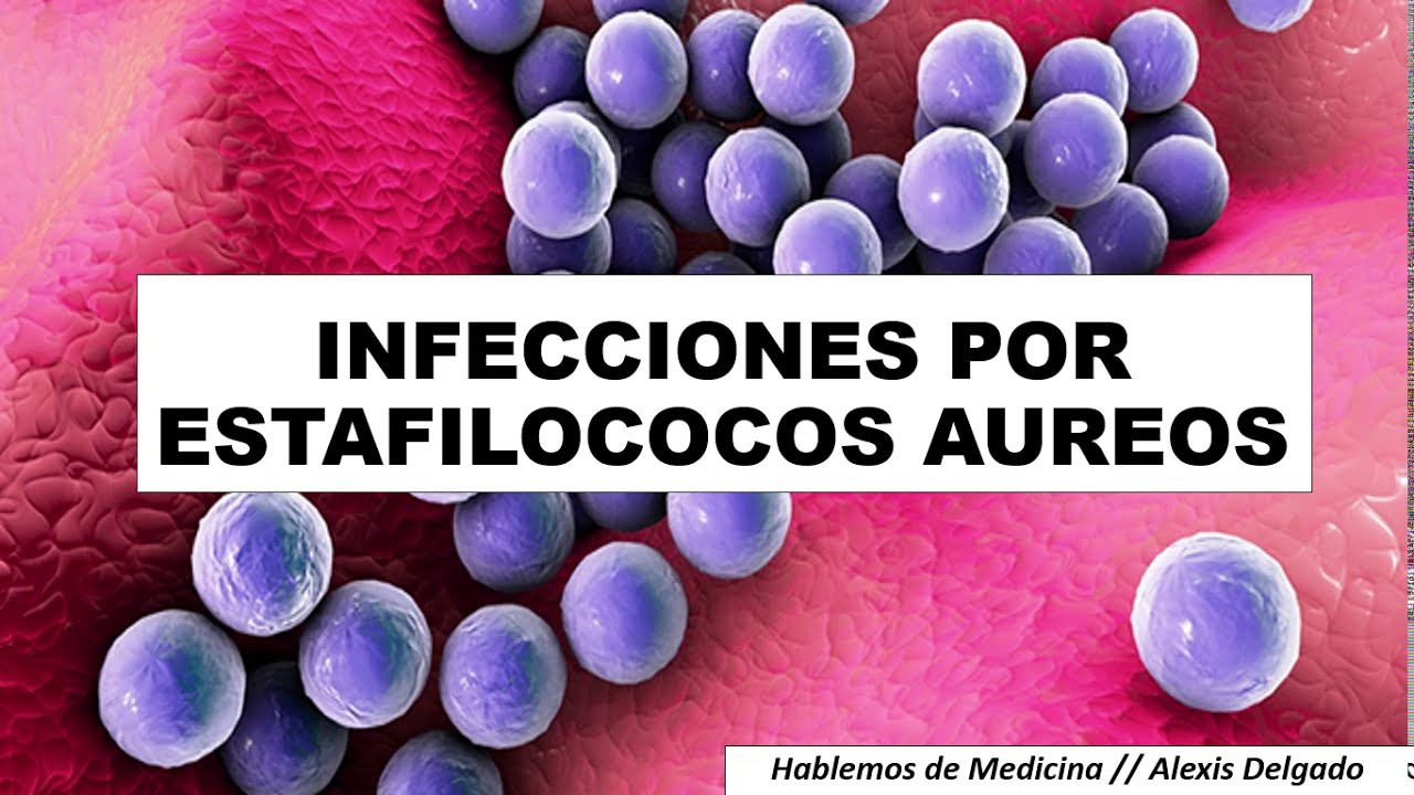 Estafilococos Aureos Signos Síntomas Diagnostico Y Tratamiento