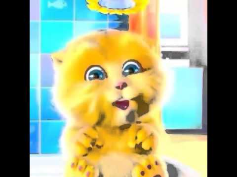 El Gatito Miau Miau Youtube