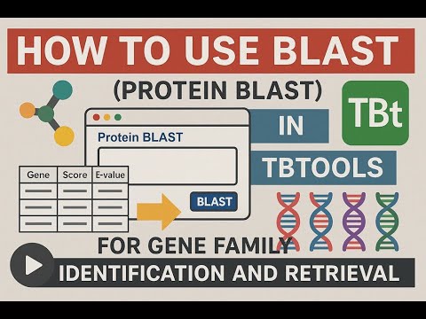 How To Use Blast Protein Blast In Tbtools For Gene Family