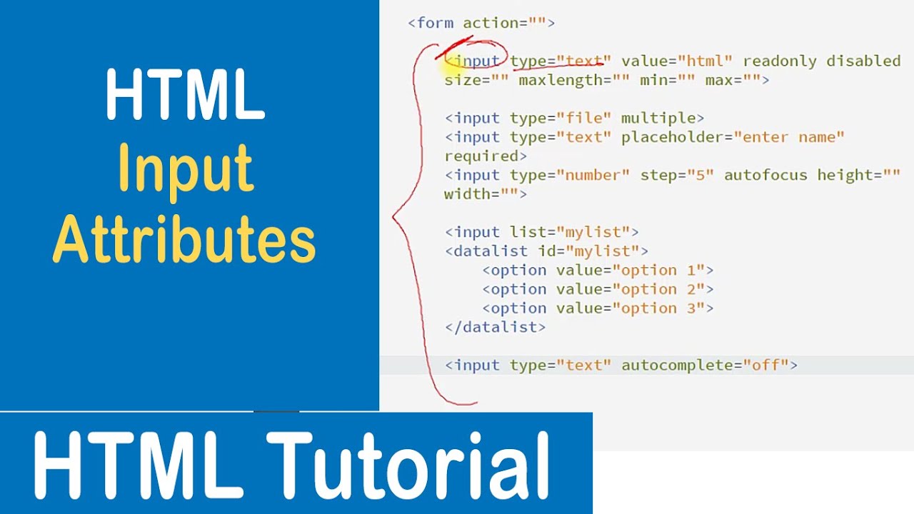 27 Input Attributes In Html Html Tutorial Youtube