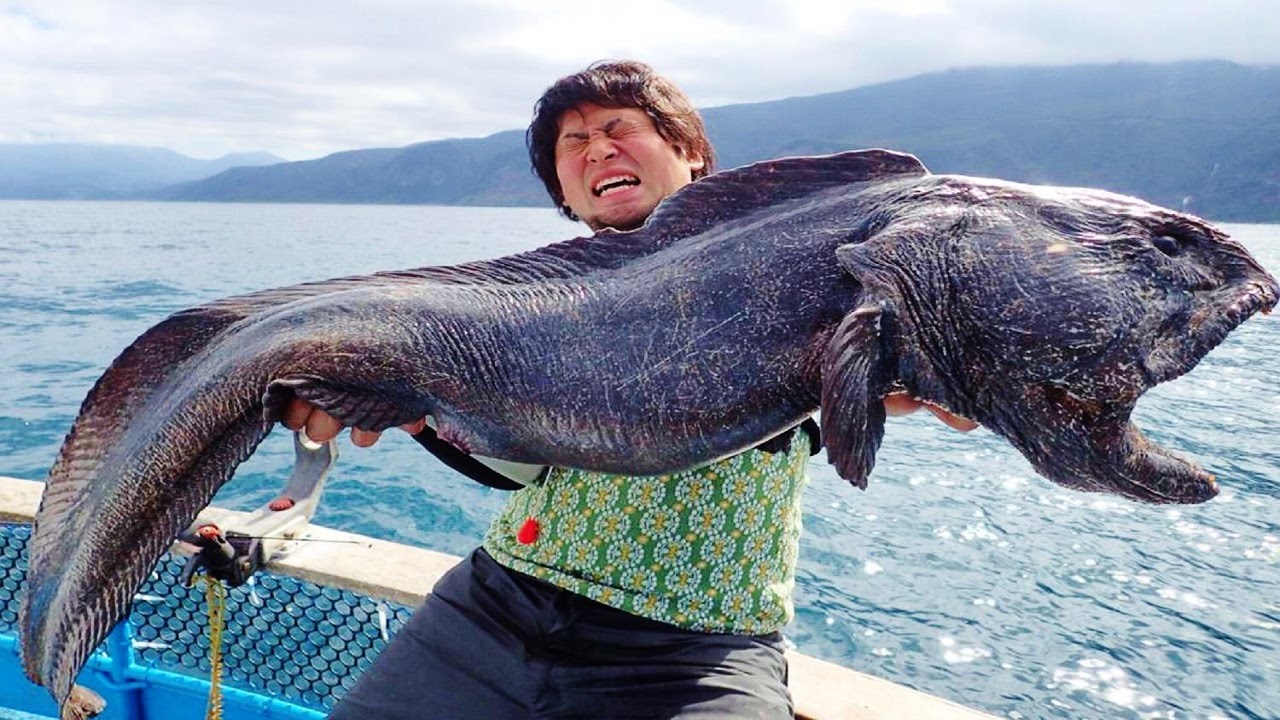 Real Monster Fish