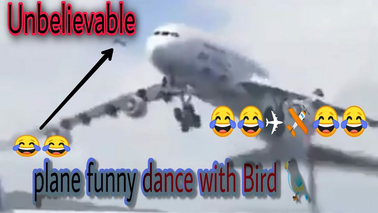 Funny Plane Dance Best Dance Plane Aeroplane Dance Viman Nachane