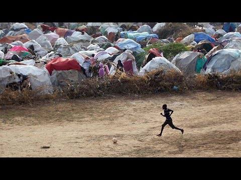 Un S World Food Program Calls On Elon Musk And Other Billionaires To