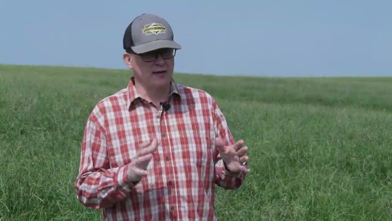 Where The Green Grass Grows Corteva Agriscience