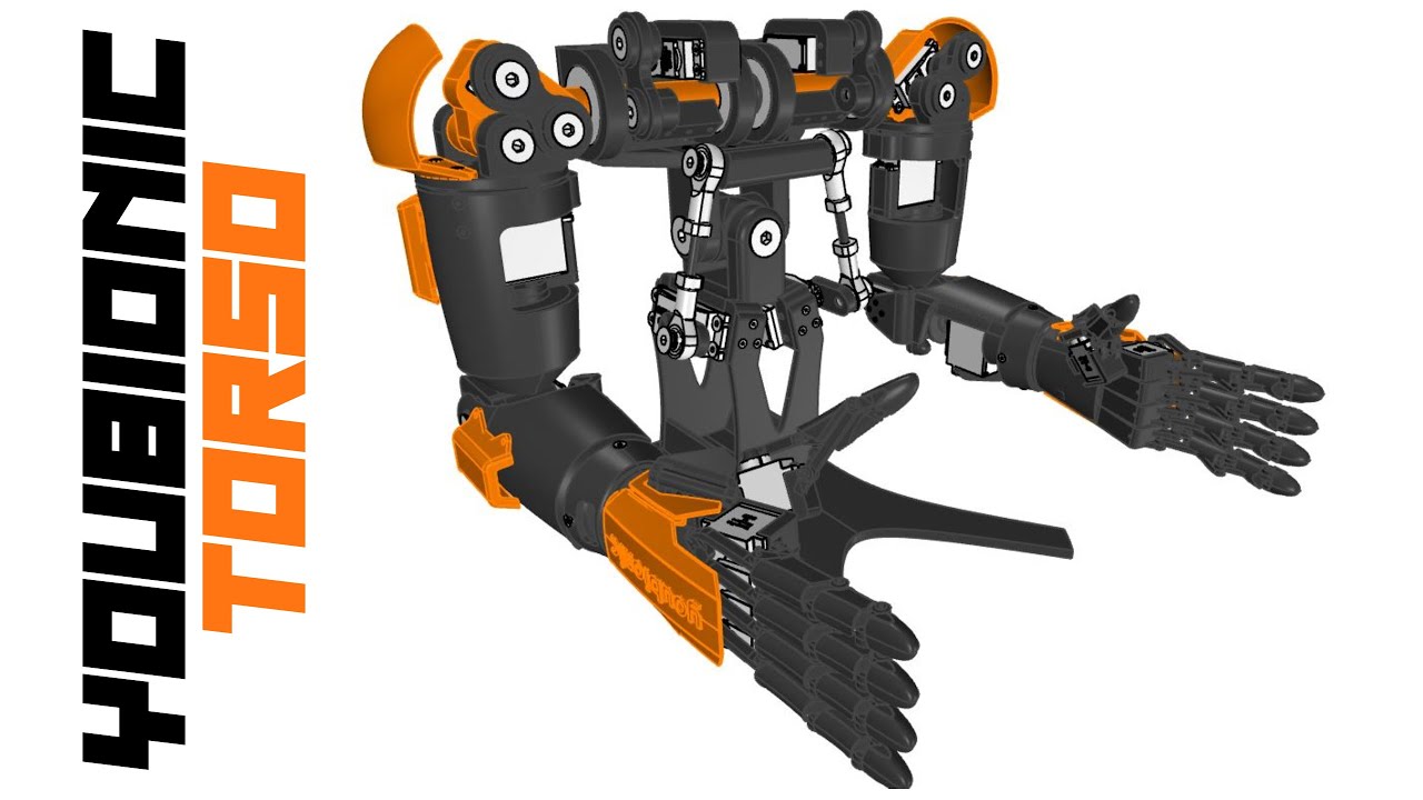 Youbionic Torso 3d Model Youtube