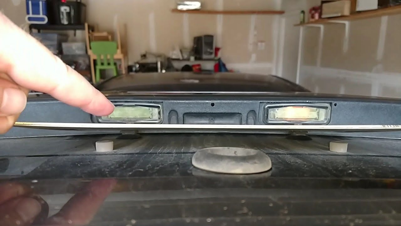 License Plate Bulb For 2010 Ford Focus At Jeremy Burris Blog