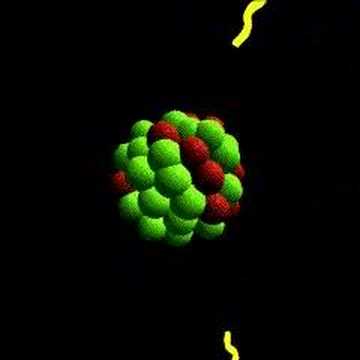 Nucleus Animation Youtube