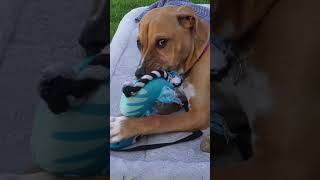 New Zealand Beach Camping In The Jimny Suzuki Jimny Camping Adventure ...