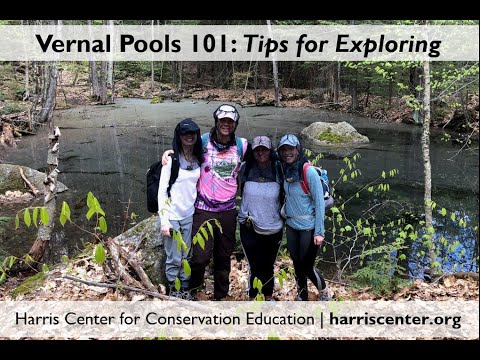 Vernal Pools 101 Tips For Exploring Youtube