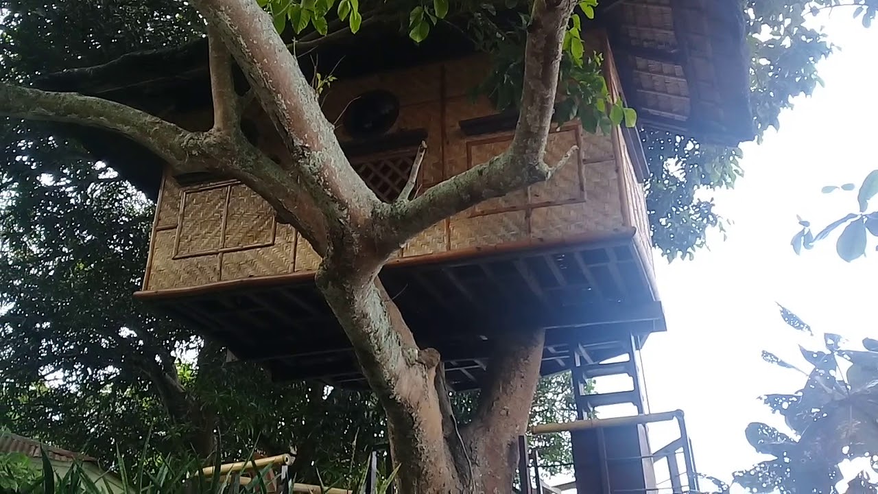 Treehouse Youtube