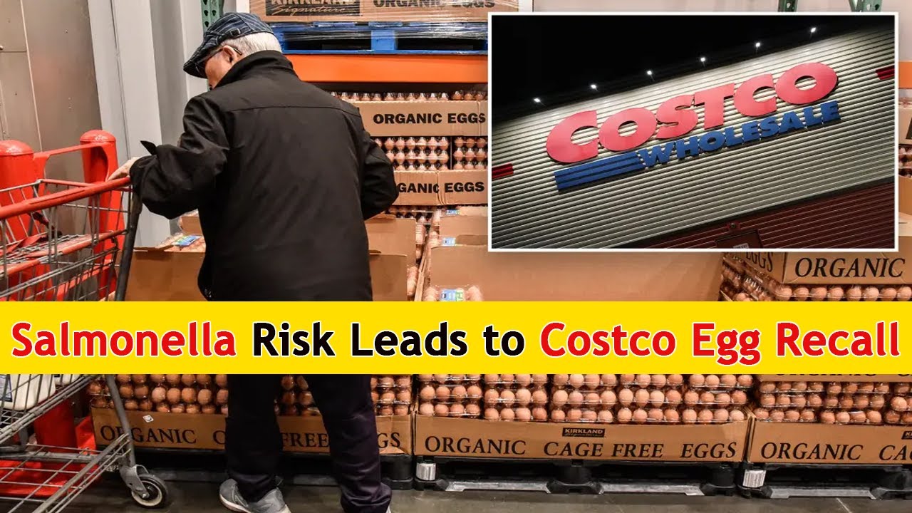 Salmonella Risk Leads To Costco Egg Recall Drm News Global Youtube
