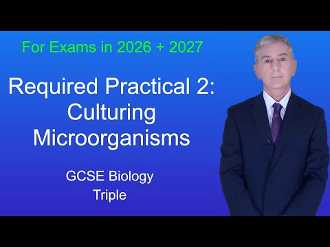 Gcse Science Biology 9 1 Triple Required Practical 2 Culturing