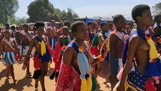 Dancing Maidens At Umhlanga Reed Festival In Eswatini 2019 Arian Kulp ...
