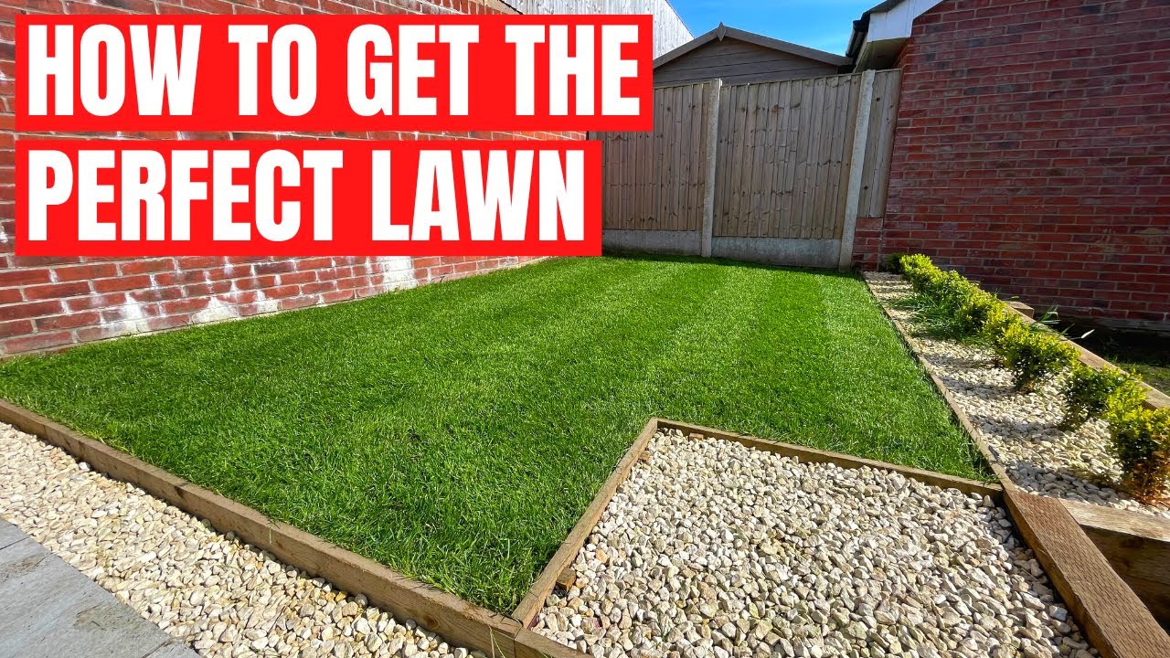 How To Get The Perfect Lawn Simple Steps To Get The Lawn You Want