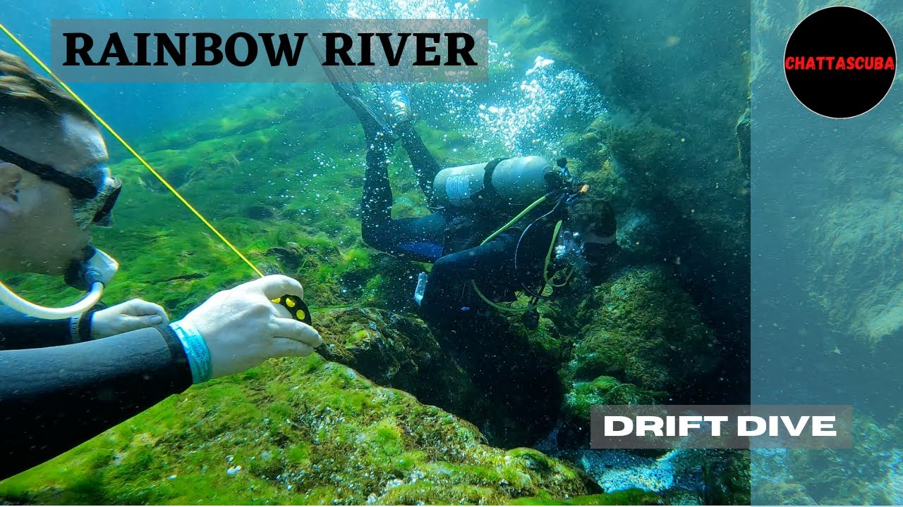 Rainbow River Drift Dive Youtube