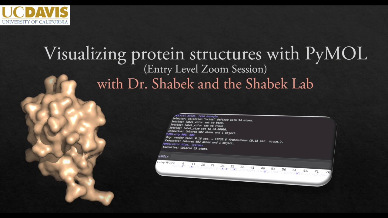 Enter Pymol Molecular Structure Visualization System With Dr Shabek