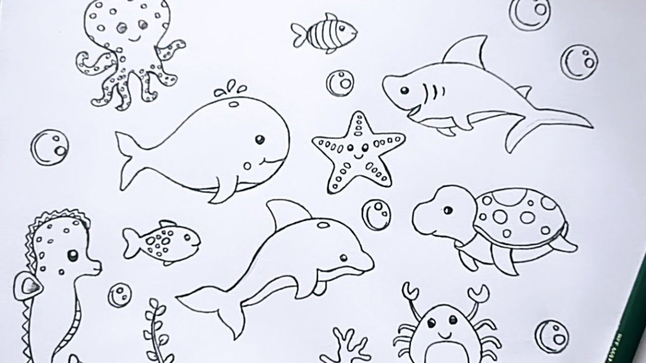 How To Draw A Sea Animals Easy Step By Step Pencil Sketch Youtube